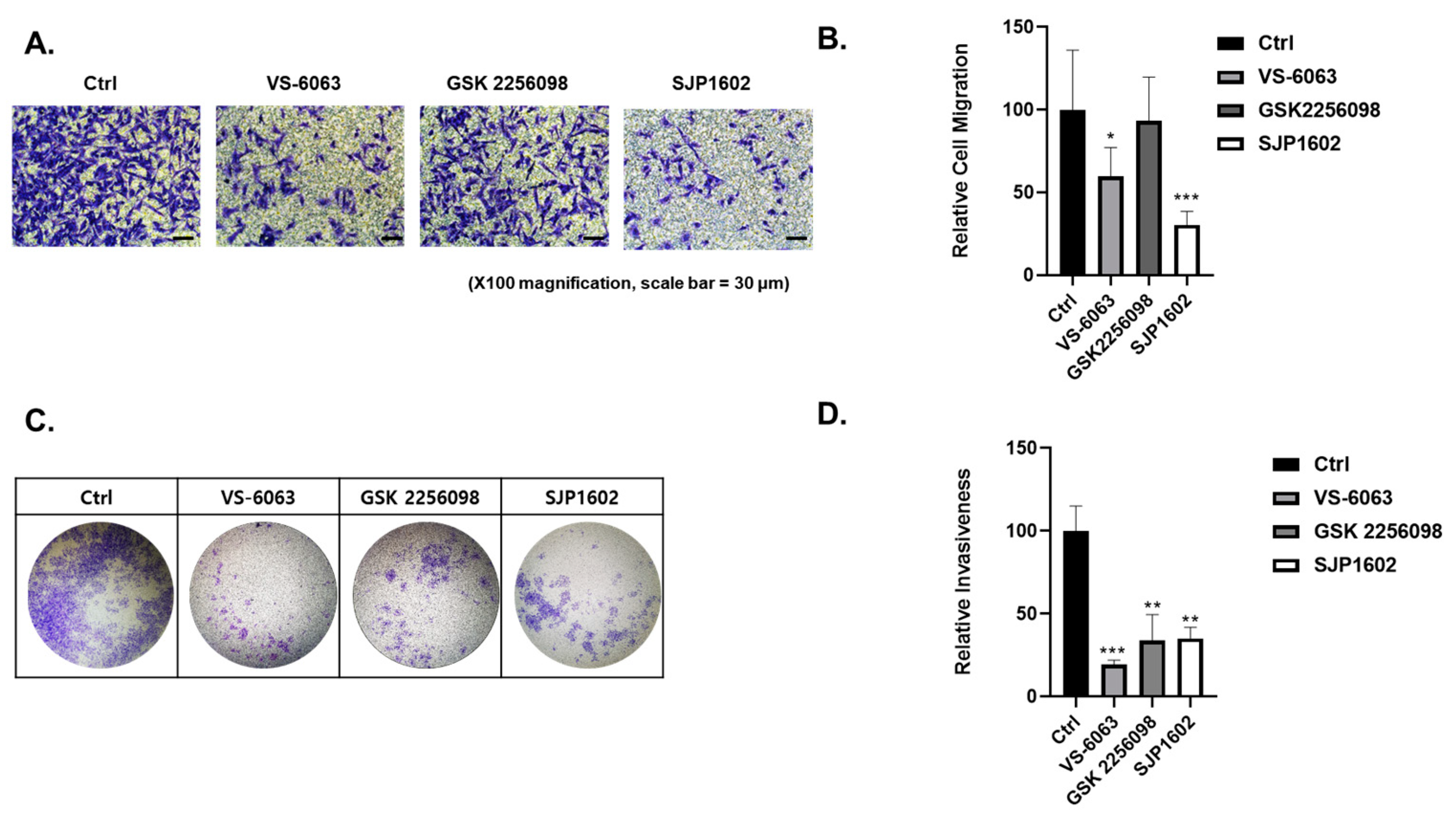 CIMB | Free Full-Text | Targeting FAK/PYK2 with SJP1602 for Anti-Tumor ...