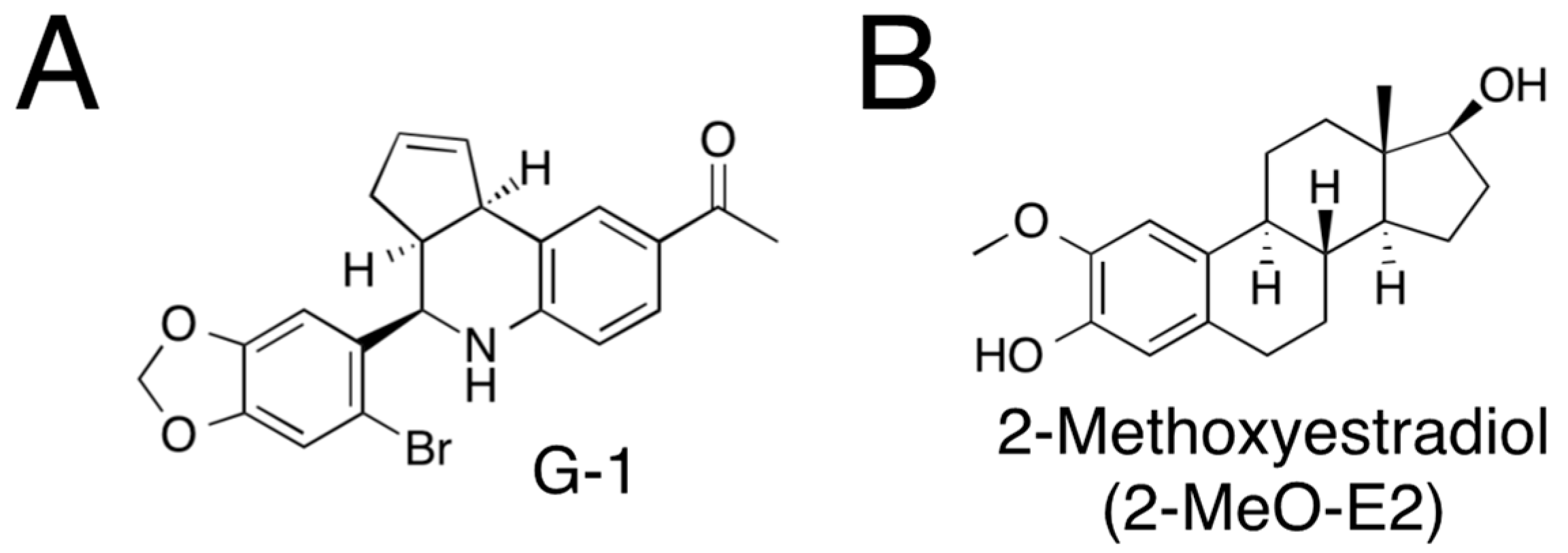2-Methoxyestradiol as an Antiproliferative Agent for Long-Term Estrogen ...