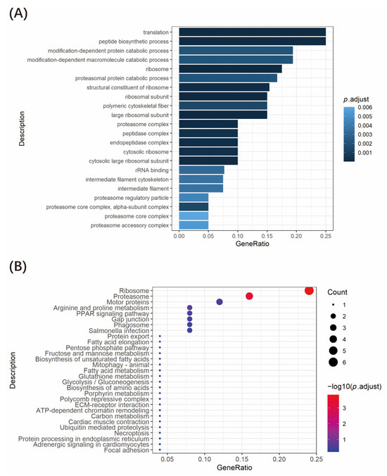 Screening of Tnfaip1-Interacting Proteins in Zebrafish Embryonic cDNA ...