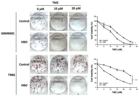 Hyperbaric Oxygen Therapy Adjuvant Chemotherapy and Radiotherapy ...