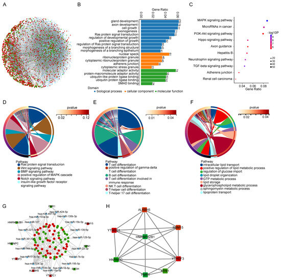 Identification of m6A Modification Regulated by Dysregulated circRNAs in Decidua of Recurrent ...