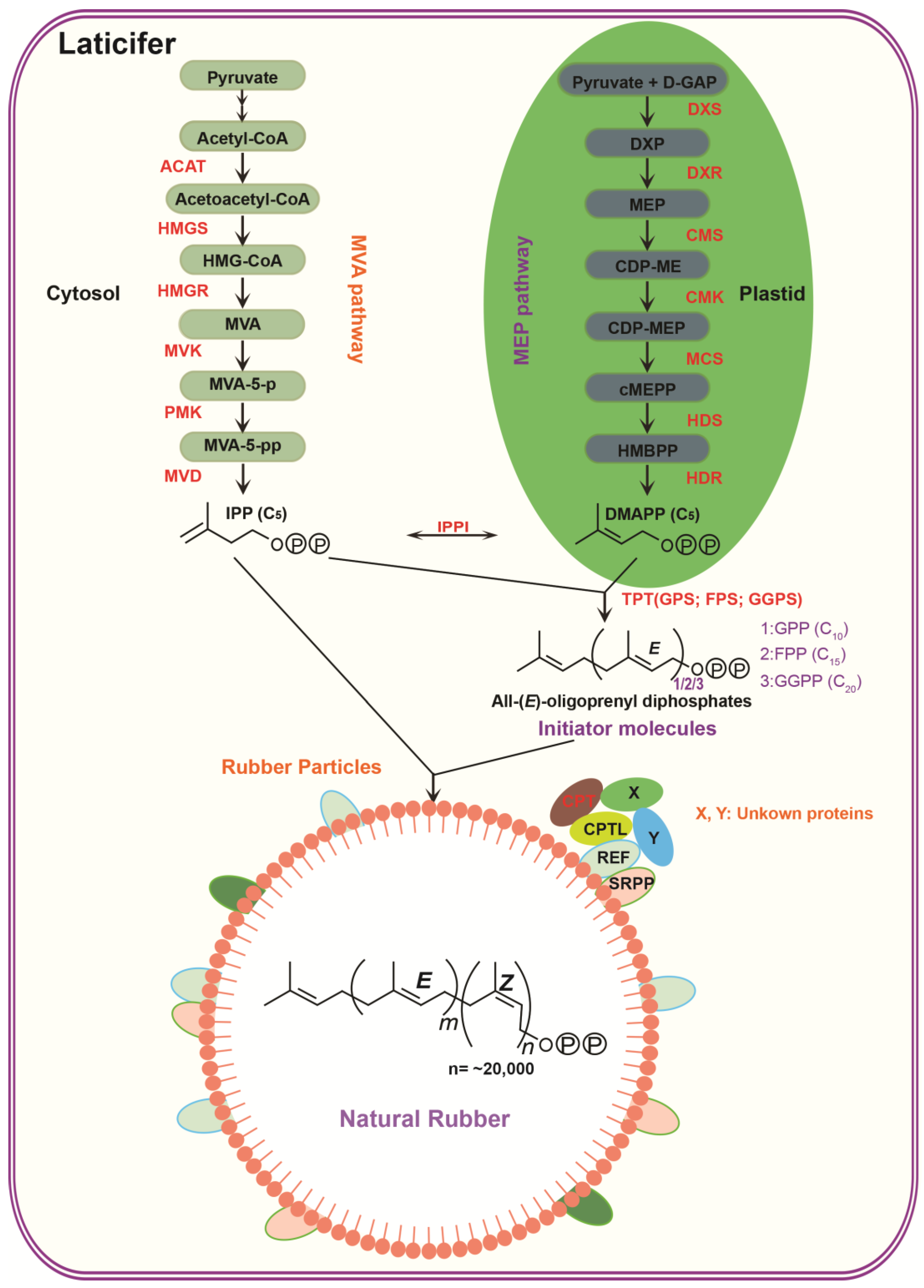 CIMB | Free Full-Text | Advances in Genome Sequencing and Natural ... CIMB | Free Full-Text | Advances in Genome Sequencing and Natural ...