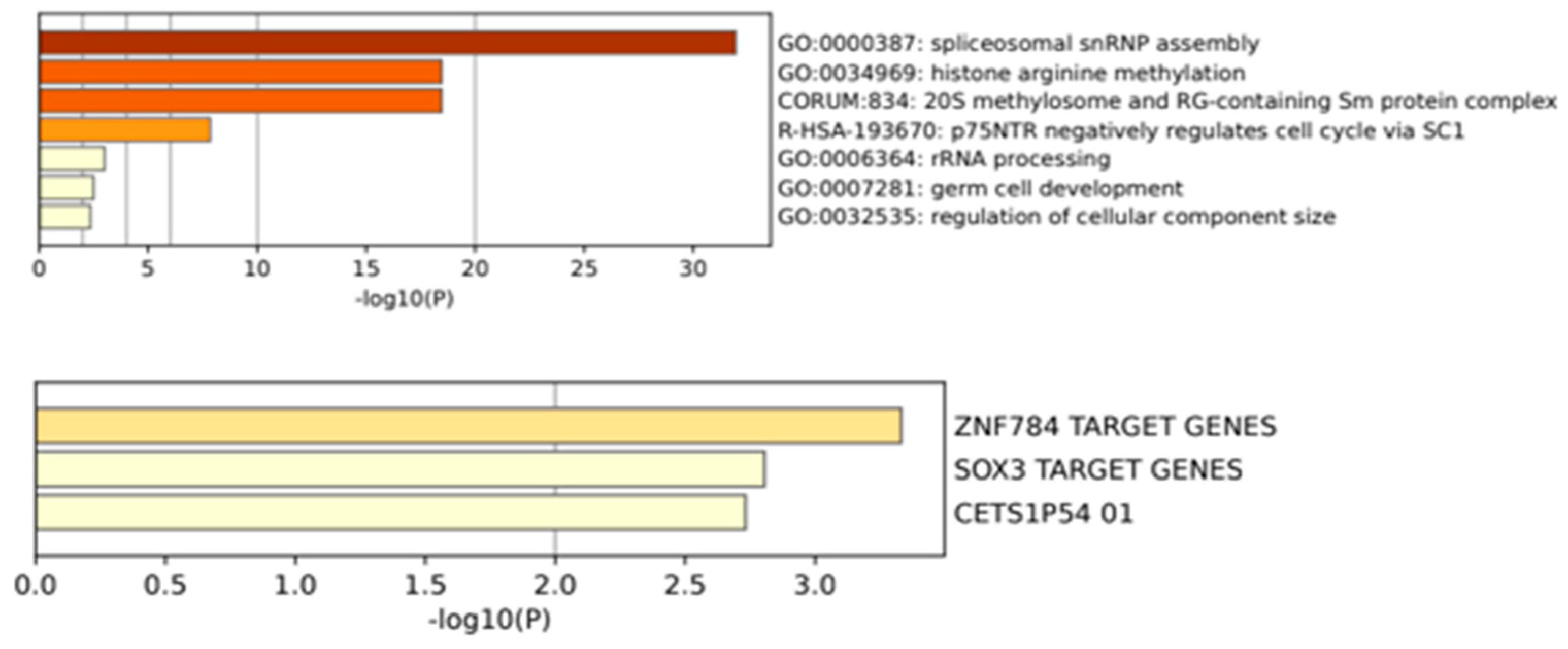 CIMB | Free Full-Text | Carcinogenesis and Prognostic Utility of ... CIMB | Free Full-Text | Carcinogenesis and Prognostic Utility of ...