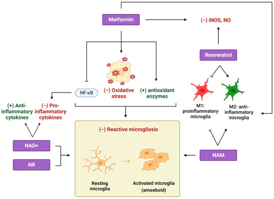 The Roles of Caloric Restriction Mimetics in Central Nervous System ...