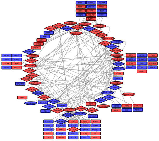CIMB | Free Full-Text | Somatic Copy Number Alterations in Colorectal Cancer Lead to a ...