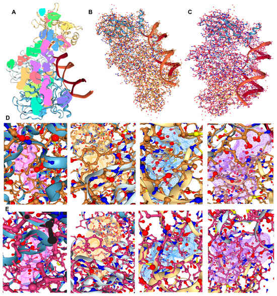 Integrative Analysis of the Role of TP53 in Human Pan-Cancer