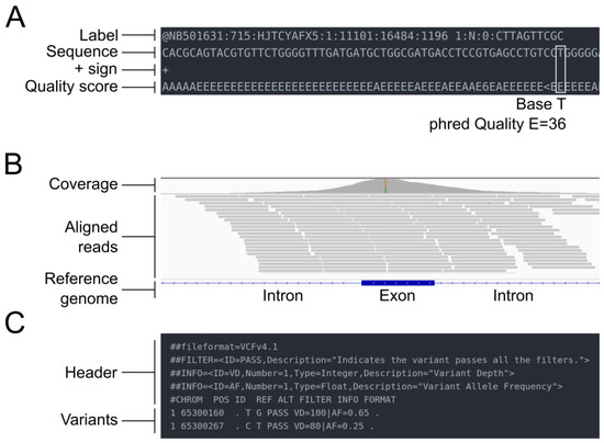 A Bioinformatics Toolkit for Next-Generation Sequencing in Clinical ...