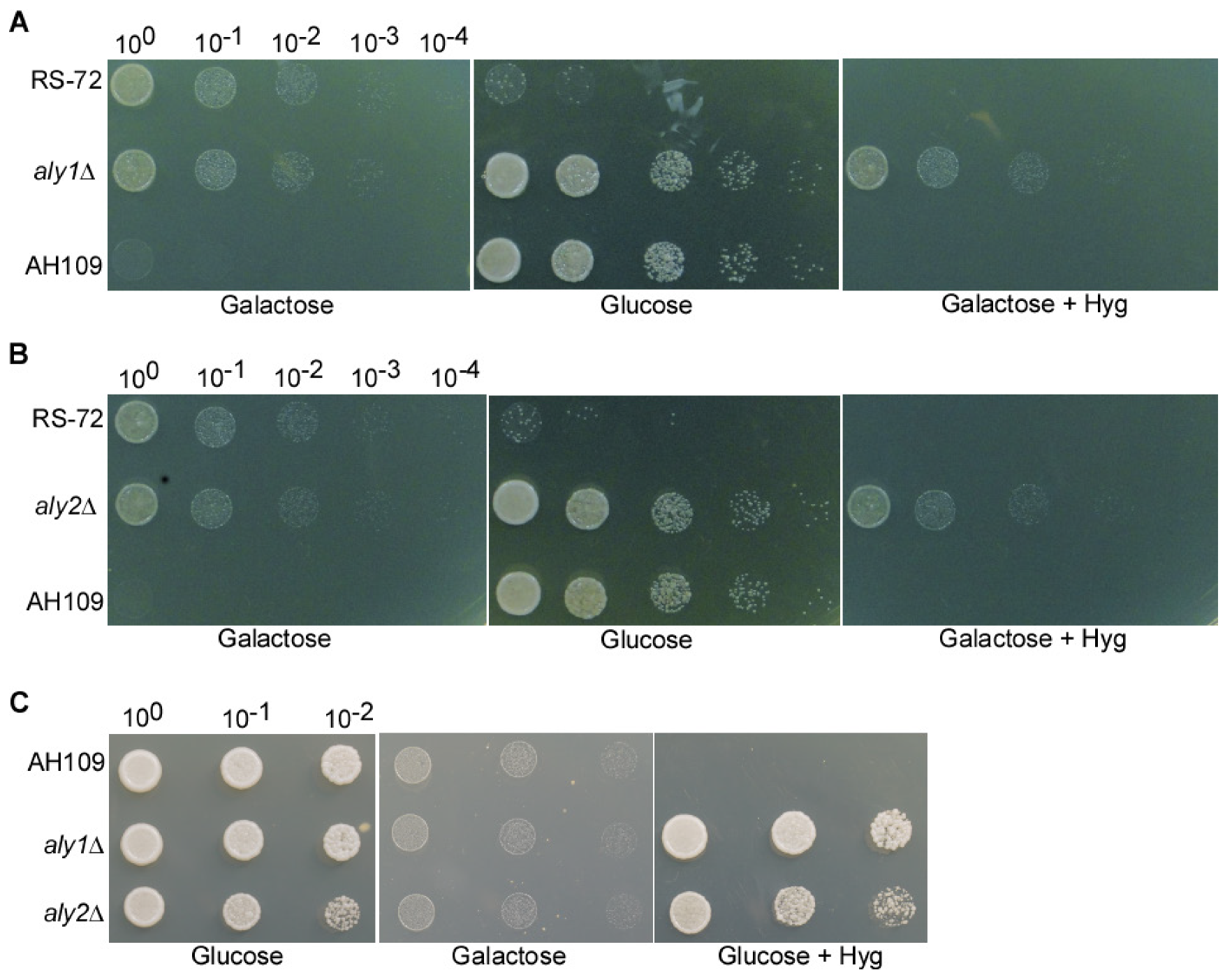 Identification of Aly1 and Aly2 as Modulators of Cytoplasmic pH in Saccharomyces cerevisiae