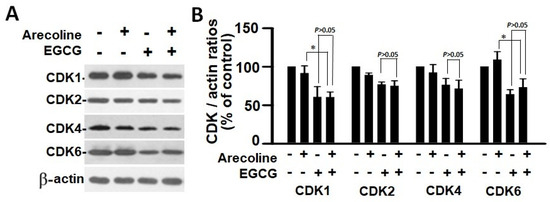 Epigallocatechin-3-gallate Synergistically Enhanced Arecoline-Induced Cytotoxicity by ...