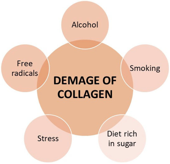 Use of Collagen in Cosmetic Products