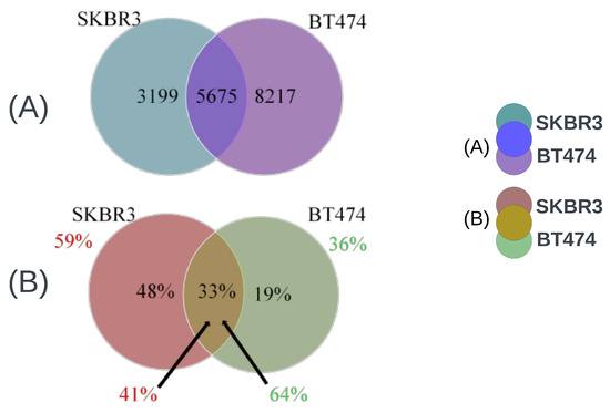Unveiling the Molecular Mechanism of Trastuzumab Resistance in SKBR3 ...