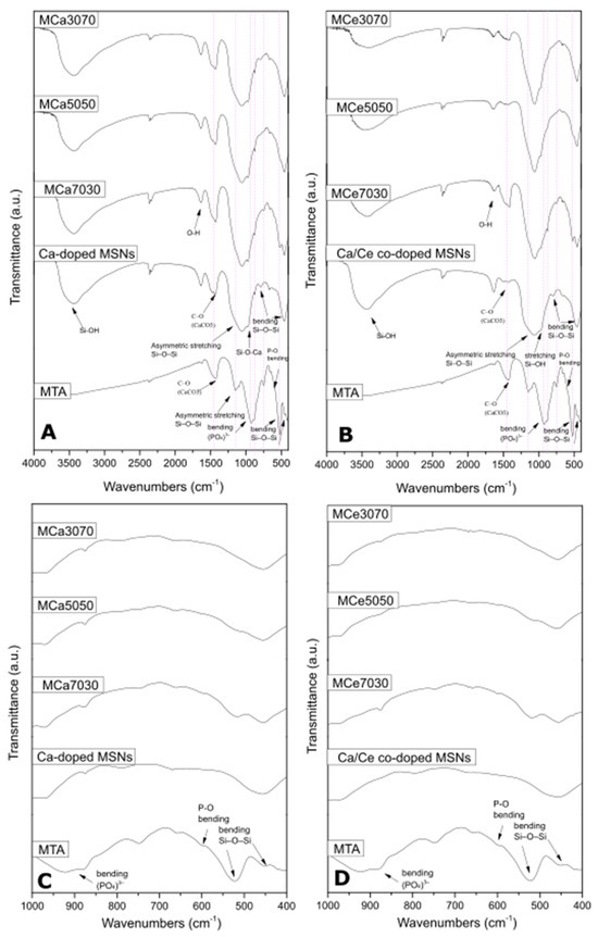 Effect of Modified Bioceramic Mineral Trioxide Aggregate Cement with ...