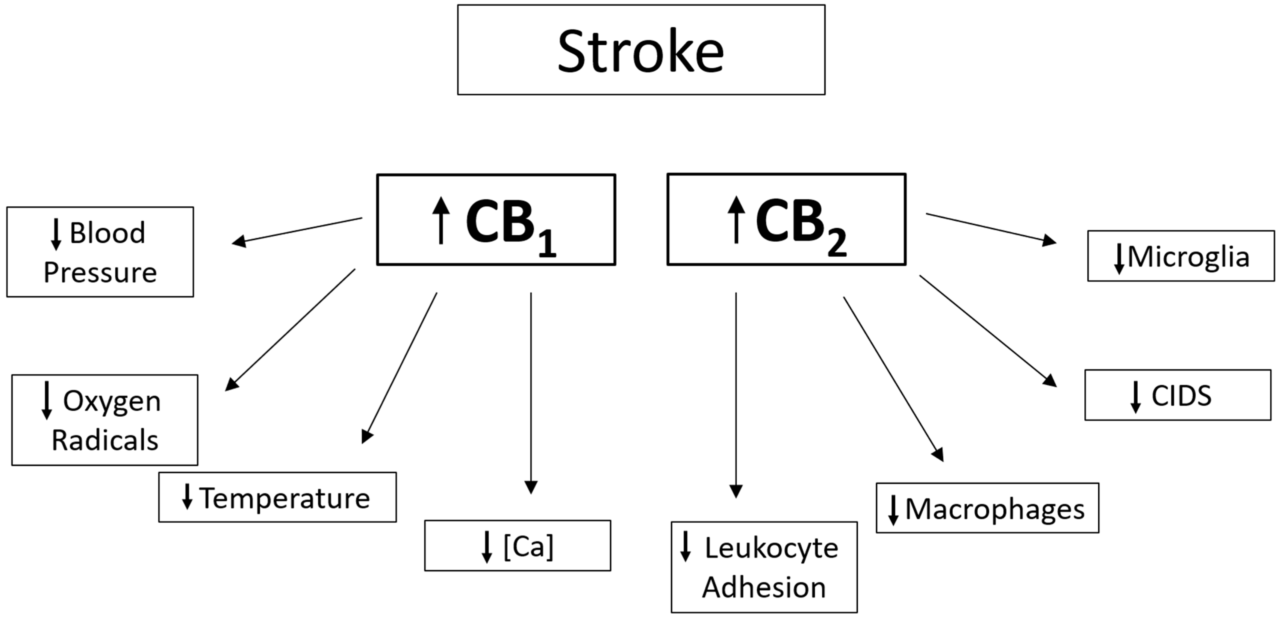 CIMB | Free Full-Text | Cannabis, Cannabinoids, and Stroke: Increased ... CIMB | Free Full-Text | Cannabis, Cannabinoids, and Stroke: Increased ...