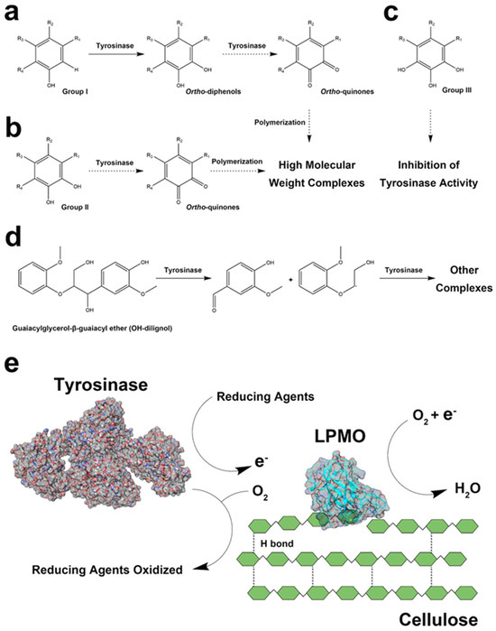 Effects of Lignin-Diverted Reductant with Polyphenol Oxidases on ...