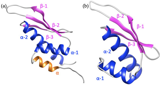 ADAR Family Proteins: A Structural Review