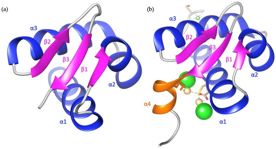ADAR Family Proteins: A Structural Review