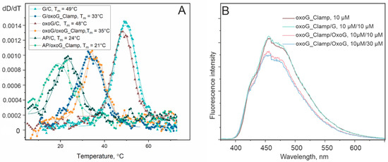 Structural and Dynamic Features of the Recognition of 8-oxoguanosine ...