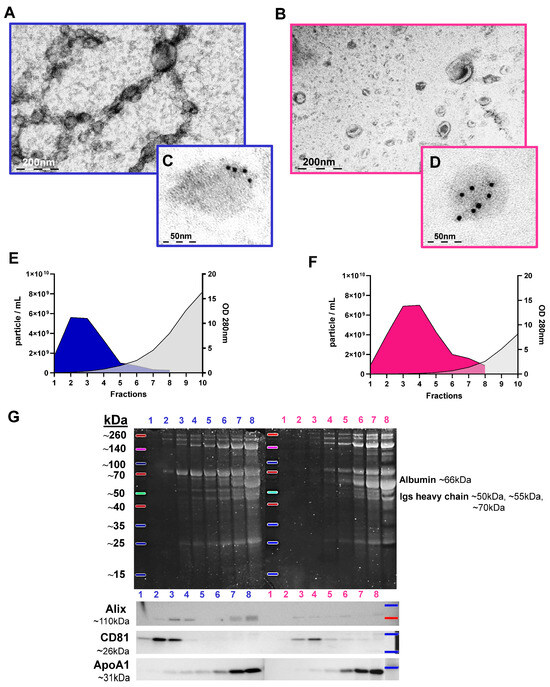 Effect of the 35 nm and 70 nm Size Exclusion Chromatography (SEC ...