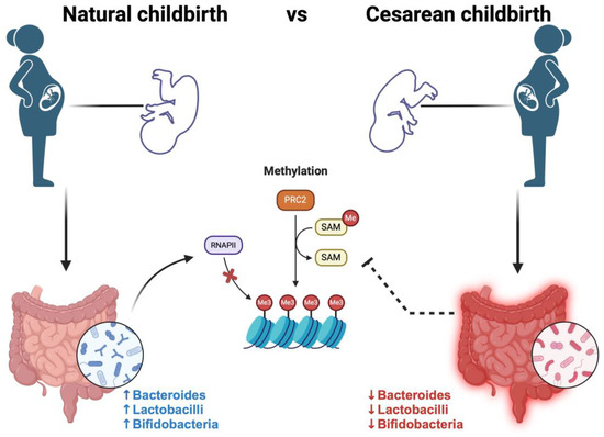 Exploring Maternal Diet-Epigenetic-Gut Microbiome Crosstalk as an ...