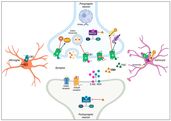Modulation of Oxidative Stress and Neuroinflammation by Cannabidiol ...