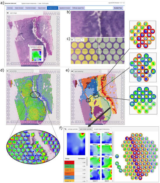 CIMB | Free Full-Text | A Spatial Transcriptomics Browser for ...