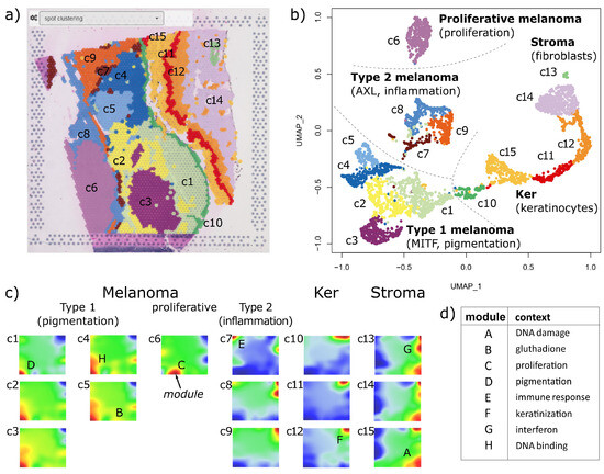 CIMB | Free Full-Text | A Spatial Transcriptomics Browser for ...