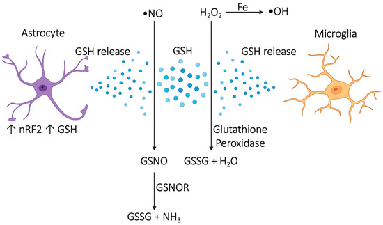 Glutathione in HIV-Associated Neurocognitive Disorders