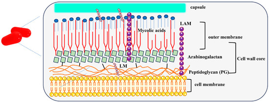 Gene Regulatory Mechanism of Mycobacterium Tuberculosis during Dormancy