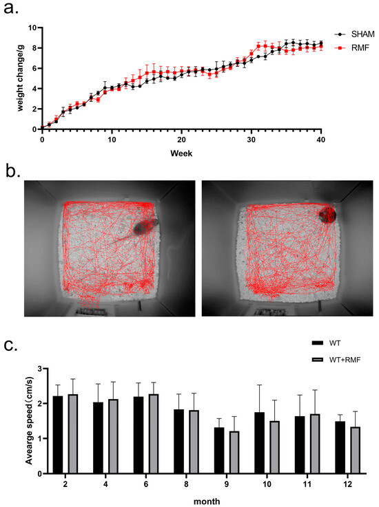Safety of Exposure to 0.2 T and 4 Hz Rotating Magnetic Field: A Ten-Month Study on C57BL/6 Mice