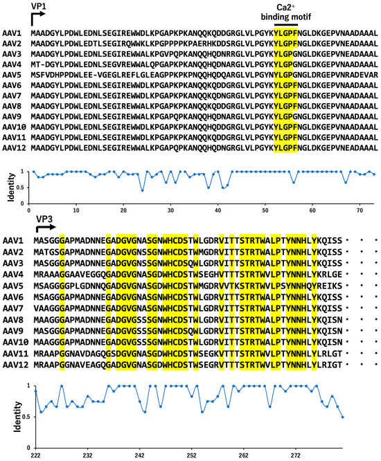 Therapeutic Application and Structural Features of Adeno-Associated ...