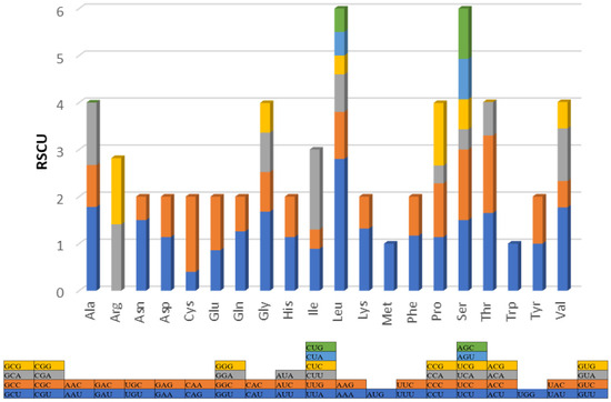 Characterization of the Complete Mitochondrial Genome of the Central ...