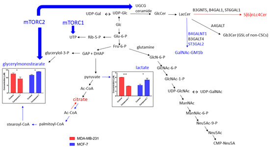 Biochemical Pathways Delivering Distinct Glycosphingolipid Patterns in ...