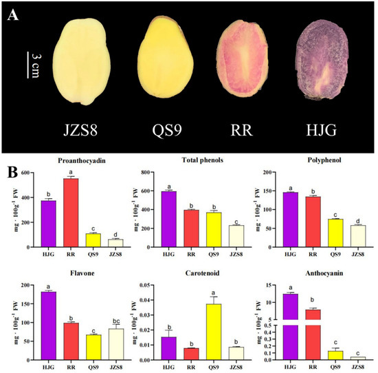 Transcriptomic and Metabolic Analysis Reveals Genes and Pathways Associated with Flesh ...
