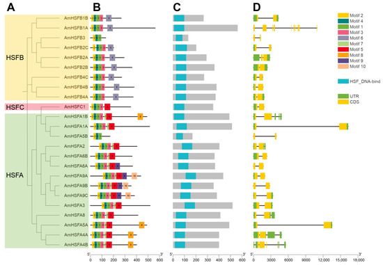 Genome-Wide Identification and Expression Analysis of the HSF Gene ...