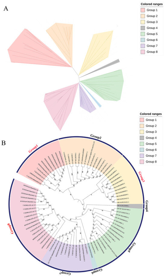 Genome-Wide Identification and Expression Analysis of the REF Genes in ...