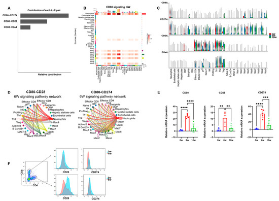 Single-Cell Analysis Reveals the Cellular and Molecular Changes of ...