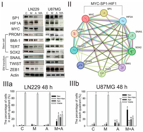 Evidence to Support the Collaboration of SP1, MYC, and HIF1A and Their ...