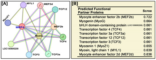 Molecular Characterization, Expression Analysis, and CRISPR/Cas9 ...