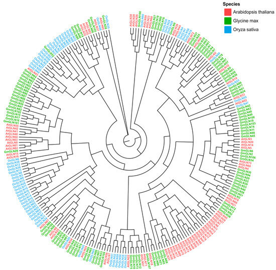 Genome-Wide Identification, Expression and Interaction Analysis of GLN ...