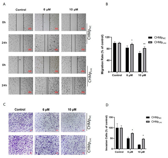 LncRNA Expression Profiles in C6 Ceramide Treatment Reveal lnc_025370 ...