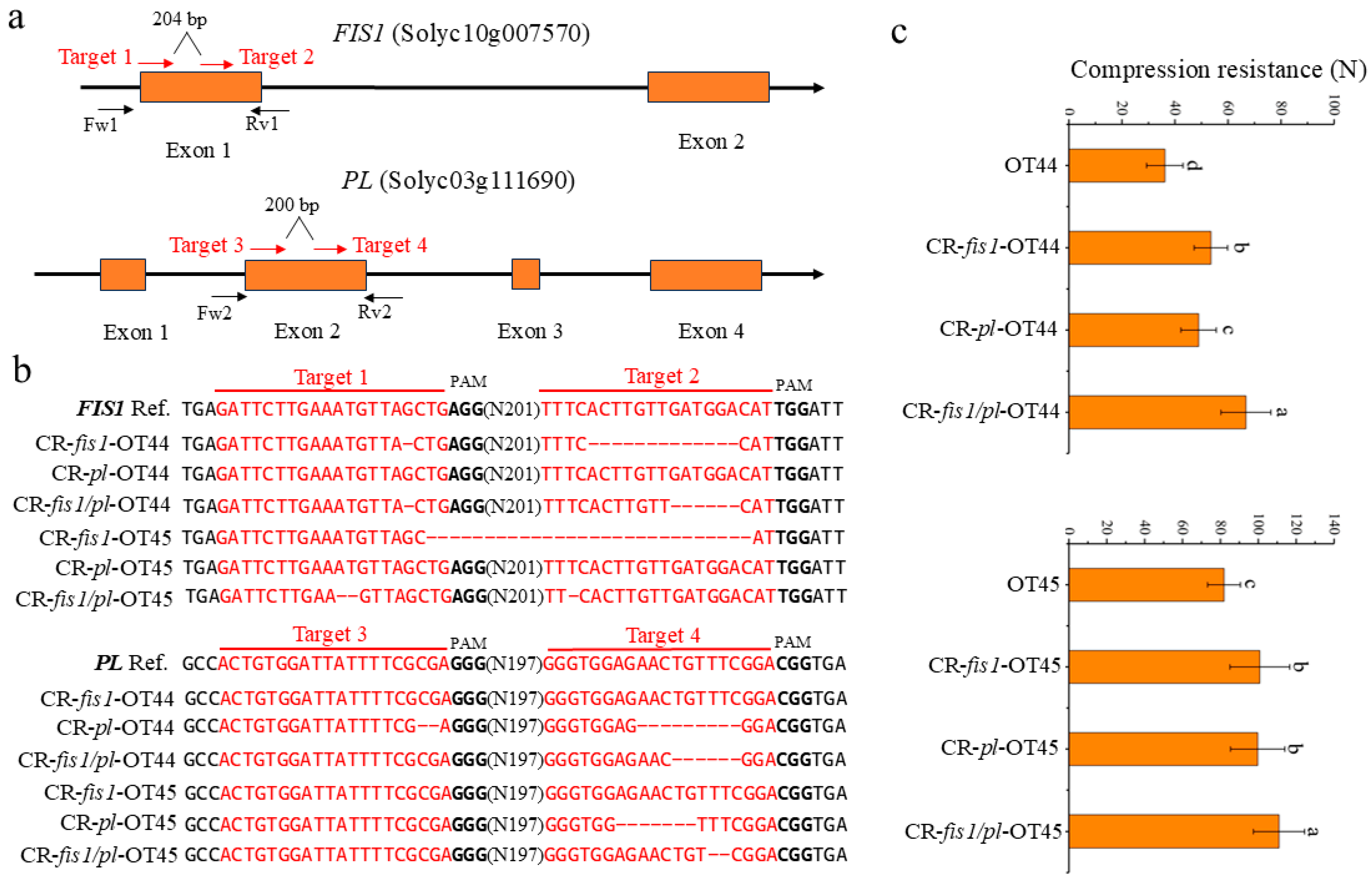 CRISPR/cas9 Allows for the Quick Improvement of Tomato Firmness Breeding