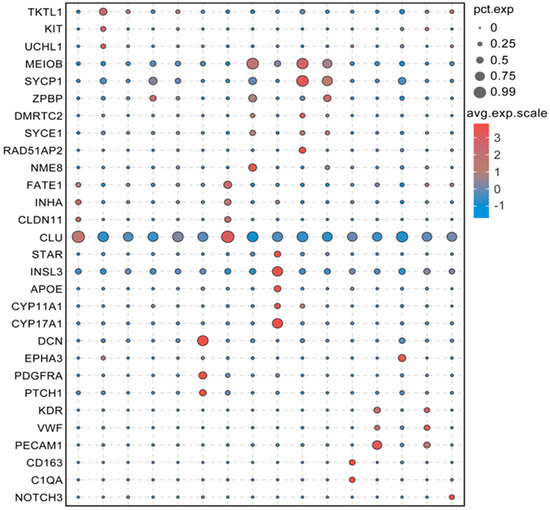 Transcriptional Profiling of Testis Development in Pre-Sexually-Mature ...
