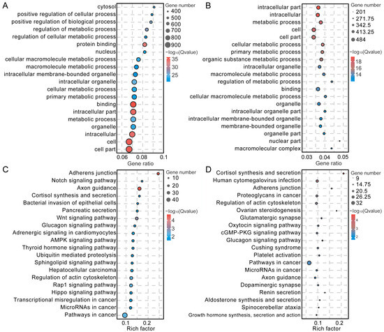 Transcriptional Profiling of Testis Development in Pre-Sexually-Mature ...
