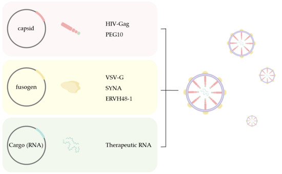 Advances in RNA-Based Therapeutics: Challenges and Innovations in RNA ...