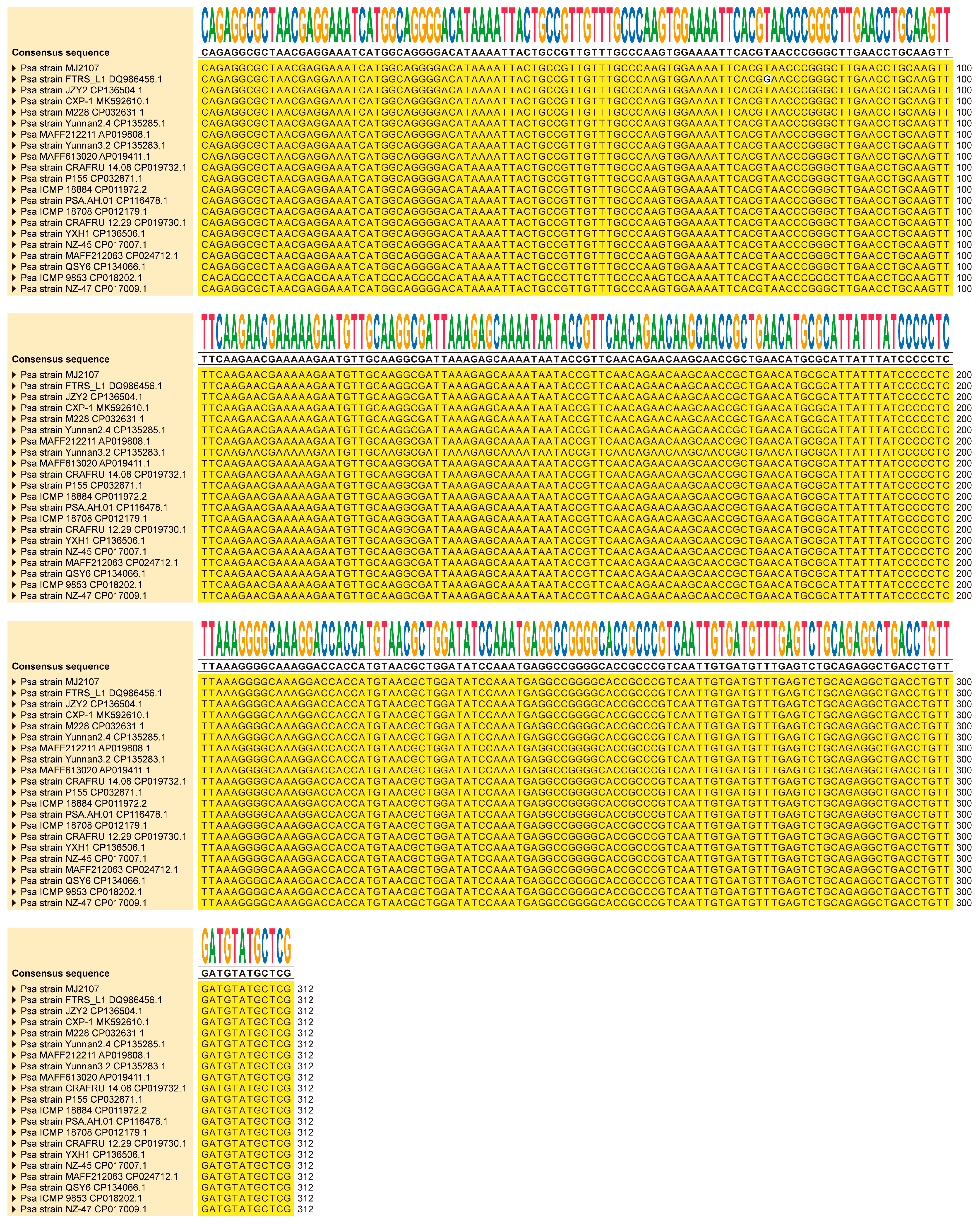 A Rapid and Reliable Propidium Monoazide Polymerase Chain Reaction for ...