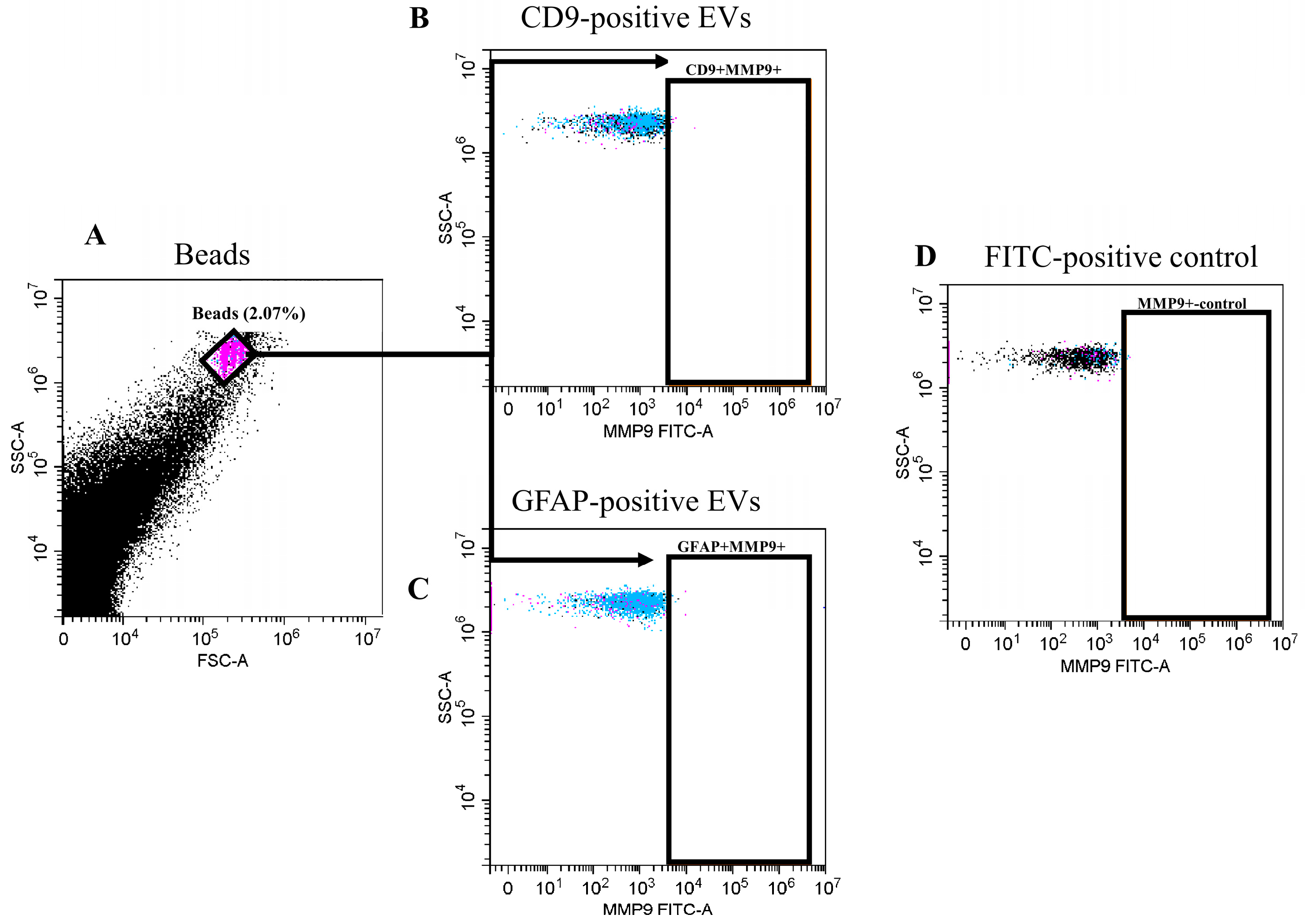 Levels of Proangiogenic Molecules and Terminal Complement Complex C5b-9 ...