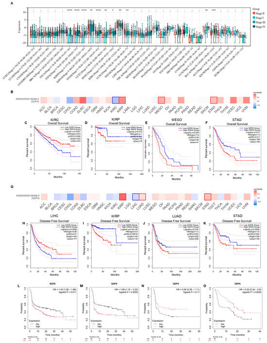 Dual-Faced Role of GDF6 in Cancer: Mechanistic Insights into Its ...