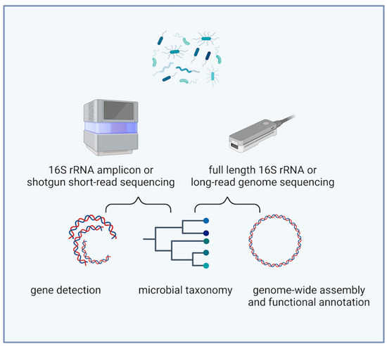 Bioinformatics Research in Bacterial Genomics and Metagenomics