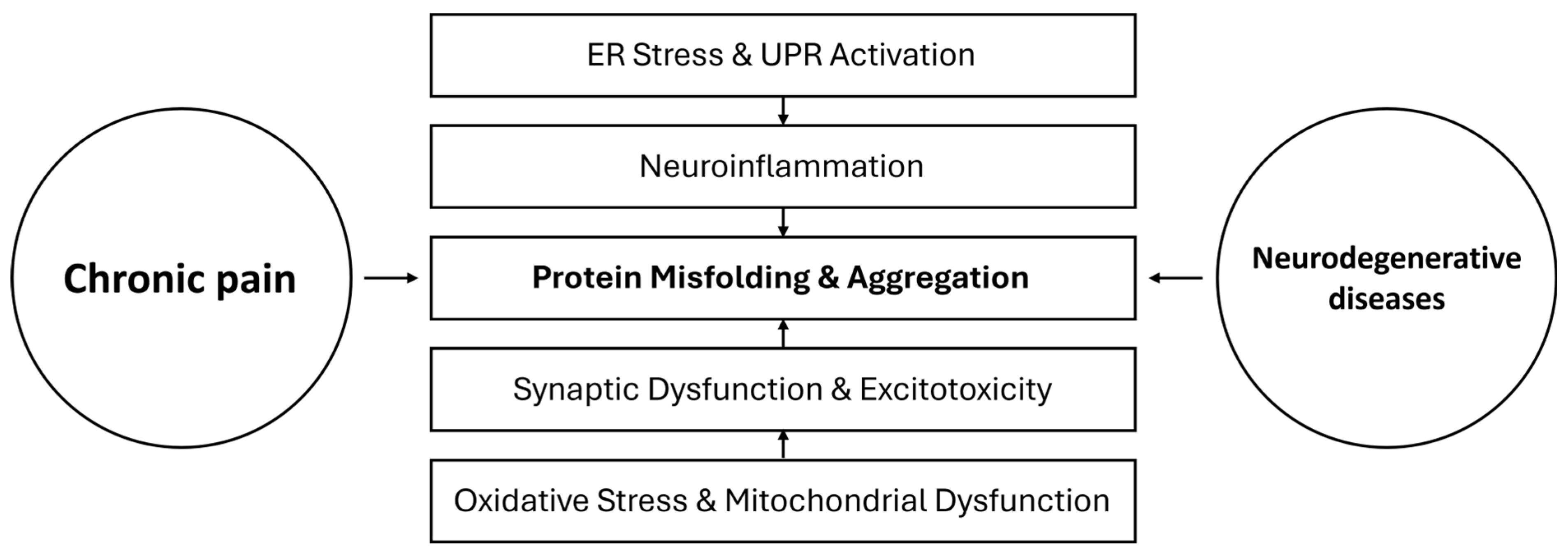Protein Misfolding and Aggregation as a Mechanistic Link Between Chronic Pain and ...