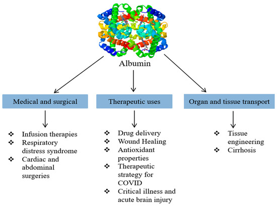 Albumin: A Review of Market Trends, Purification Methods, and ...